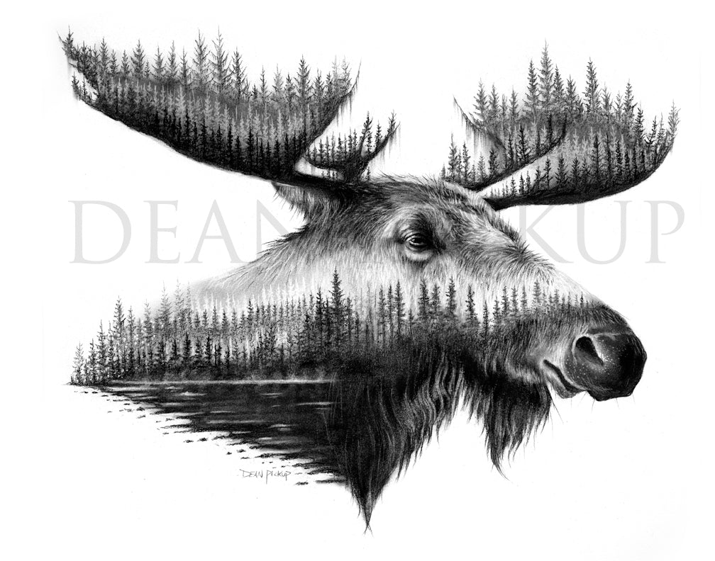 Quality Fine Art Prints by Dean Pickup – Dean Pickup Art